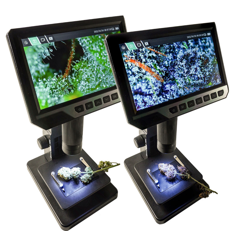 Dankoscope: Digital Microscope for Cannabis | Dutch Passion