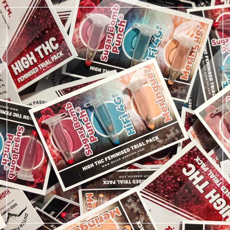 Buy High THC Feminised Cannabis Seeds Trial Pack | Dutch Passion