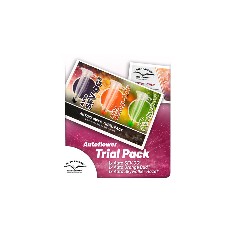 Buy Autoflower Cannabis Seeds | Dutch Passion UK