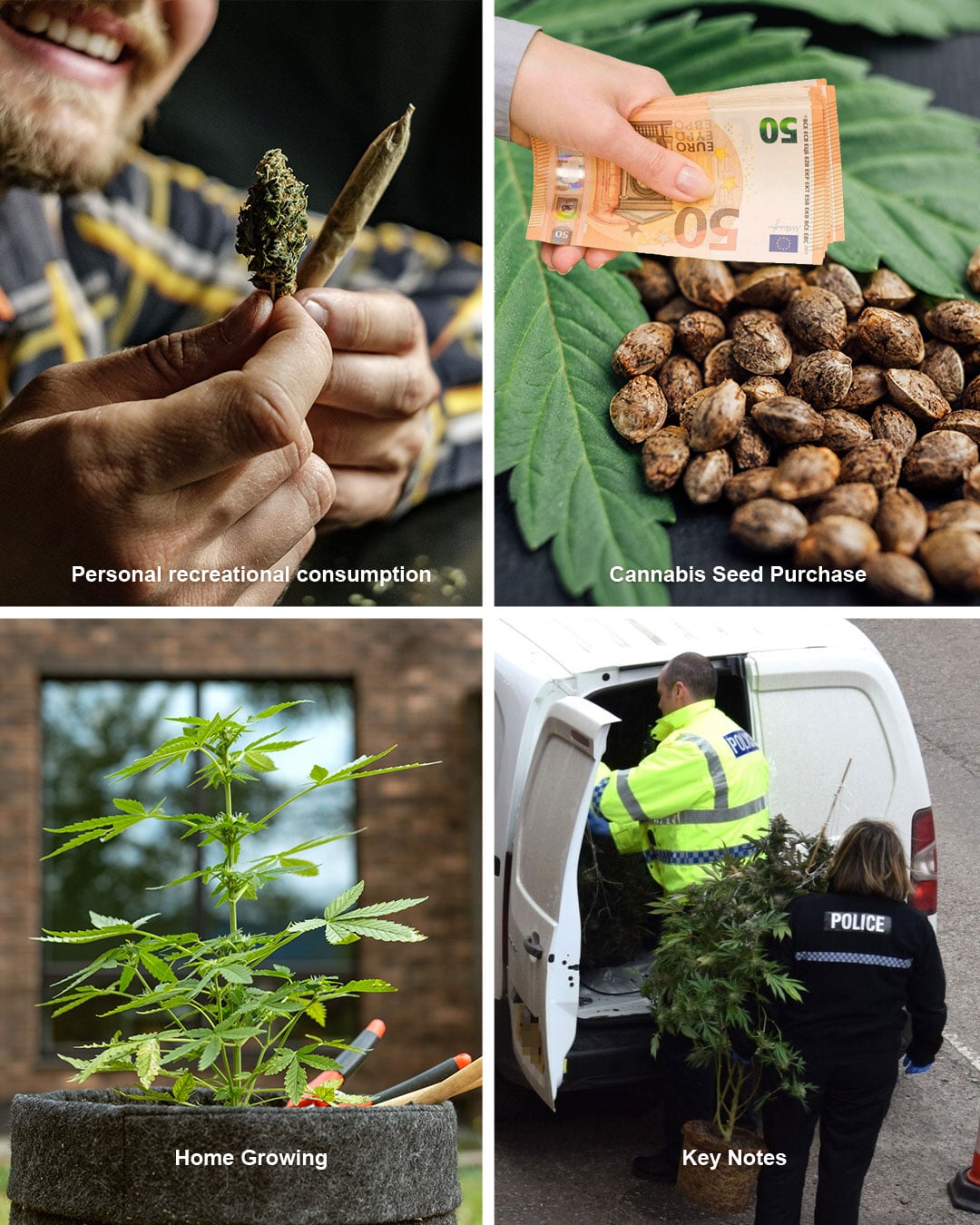 Waar is wiet legaal in Europa in 2026? | Dutch Passion