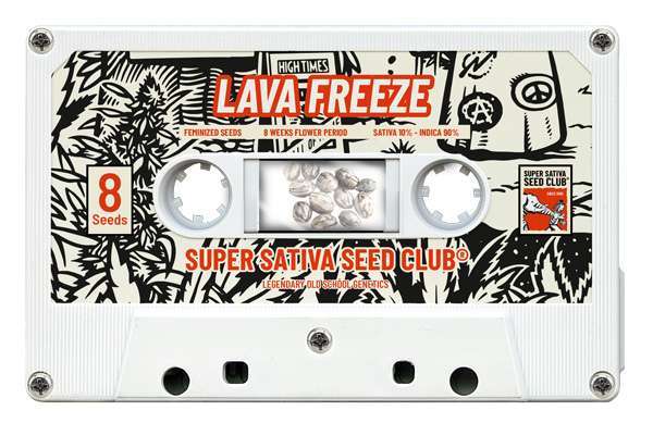 Buy Lava Freeze Feminised Seeds From Super Sativa Seed Club