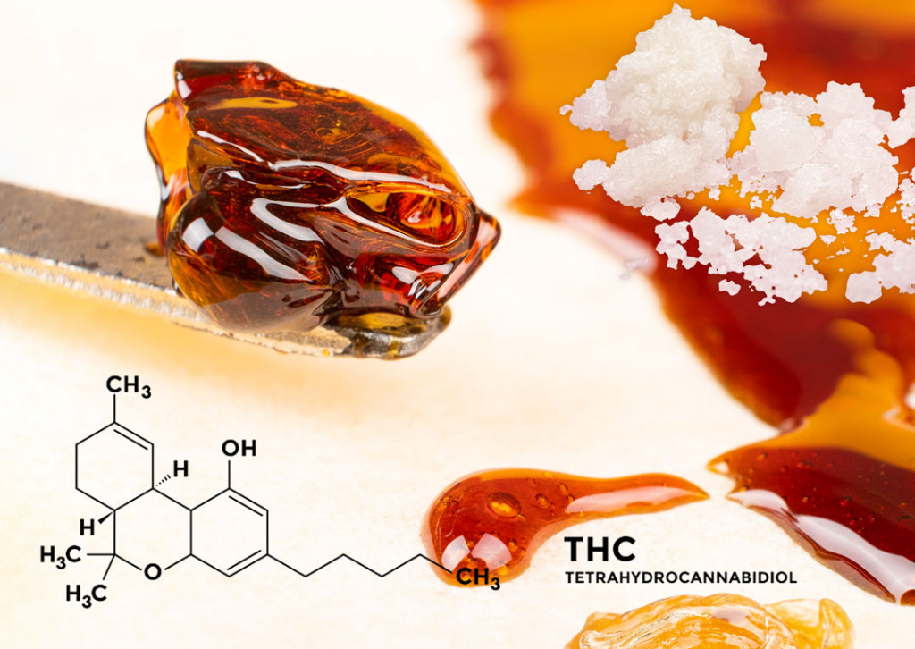 Explications sur le THC pur et les têtes de cannabis riches en THC ...