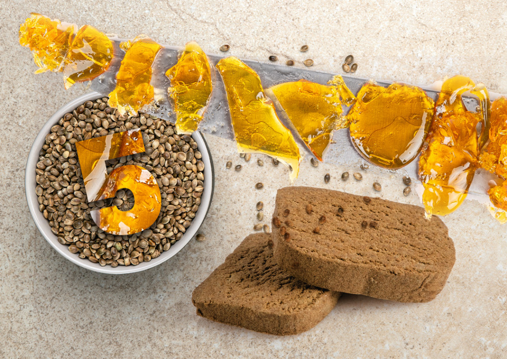 Top 5 Cannabis Strains to Make Hash With | Dutch Passion