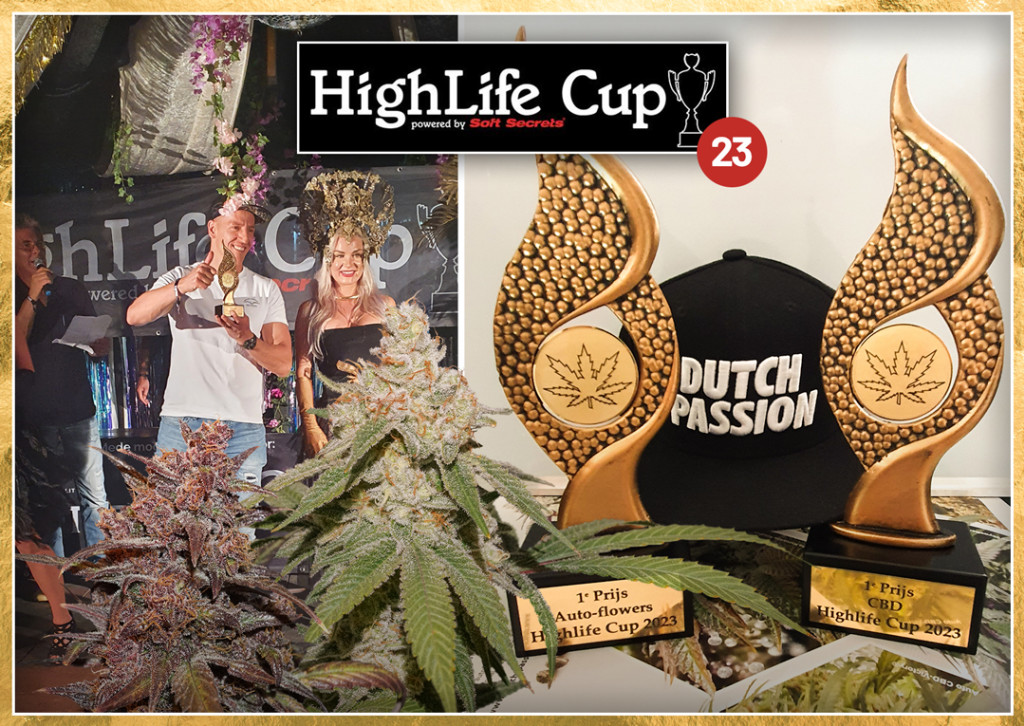Two new cannabis cups won at the HighLife Cup 2023 | Dutch Passion