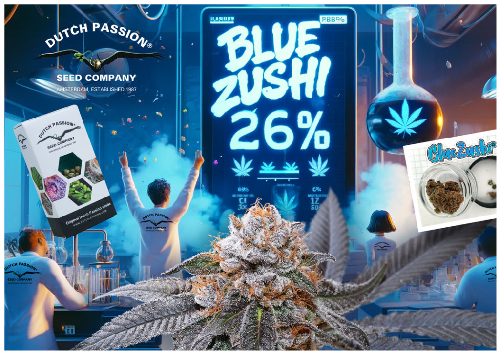 Blue Zushi tested with 26% THC levels | Dutch Passion