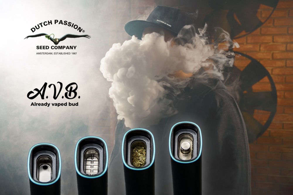 ABV - What to do with already vaped weed? | Dutch Passion