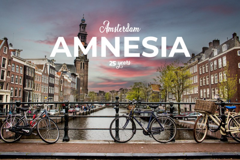 Amsterdam Amnesia X Amnesia Haze Strain Story | Dutch Passion