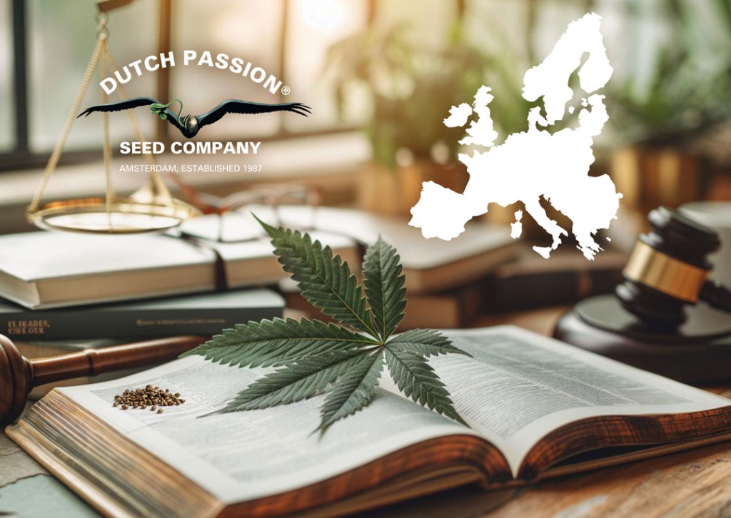 Waar is wiet legaal in Europa in 2026? | Dutch Passion