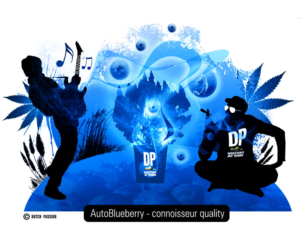 AutoBlueberry review by Robwars