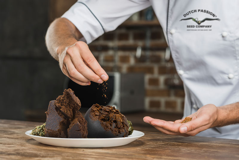 What is Hash? Best Ways to Make Hashish Yourself | Dutch Passion